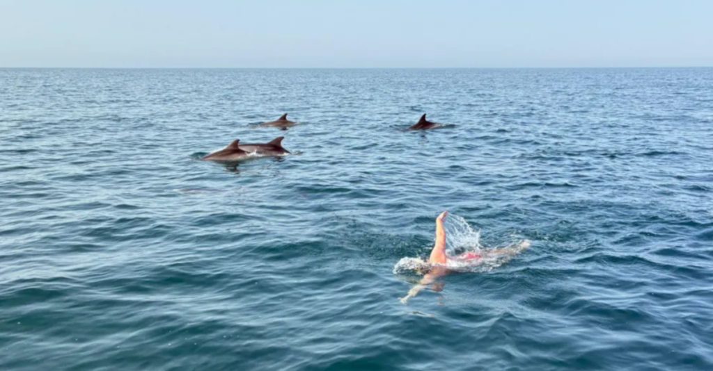 In bester Gesellschaft: Extremschwimmer auf Rekordjagd im Ärmelkanal ...